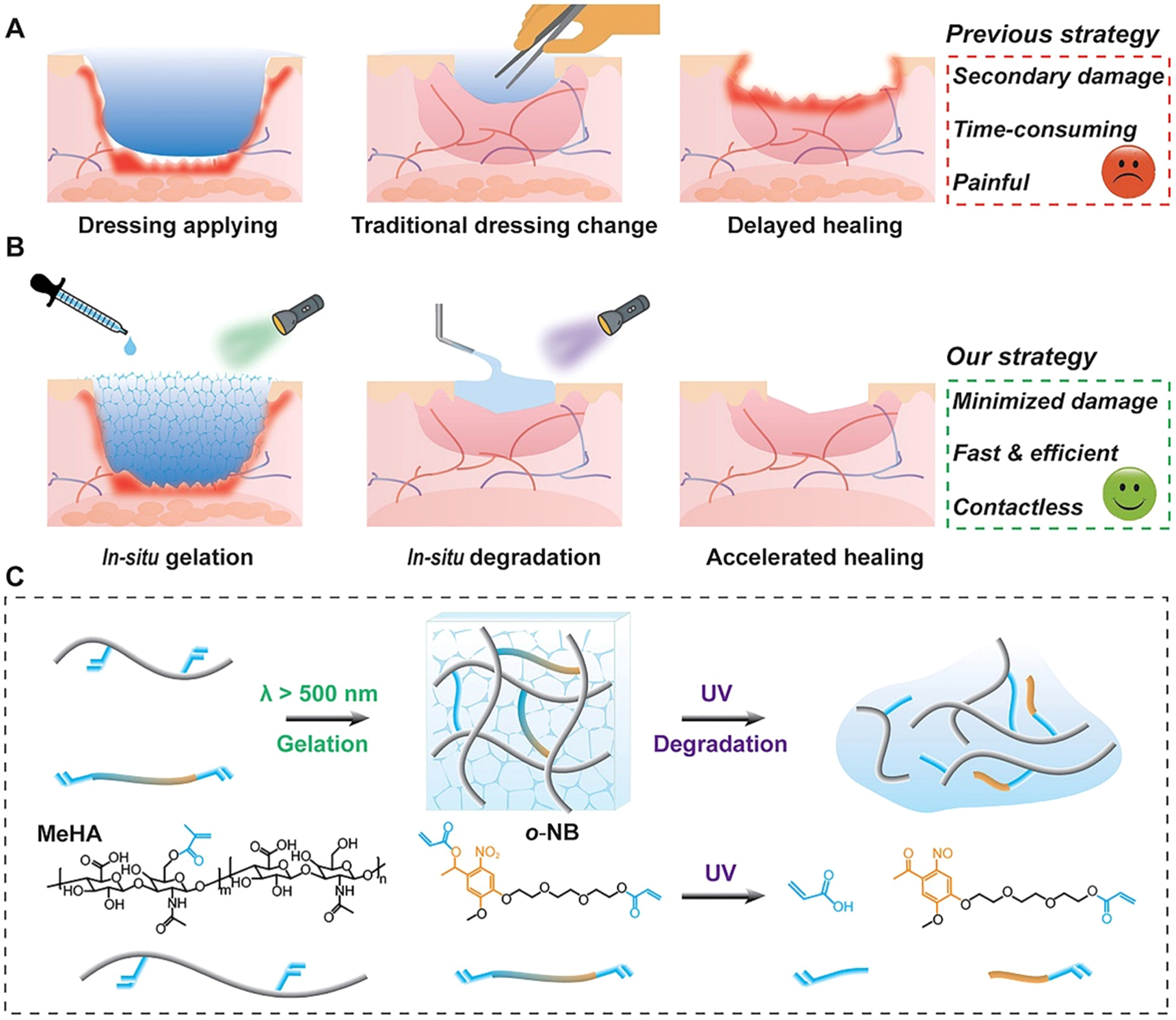 Functional hydrogel dressings for wound management: a comprehensive ...