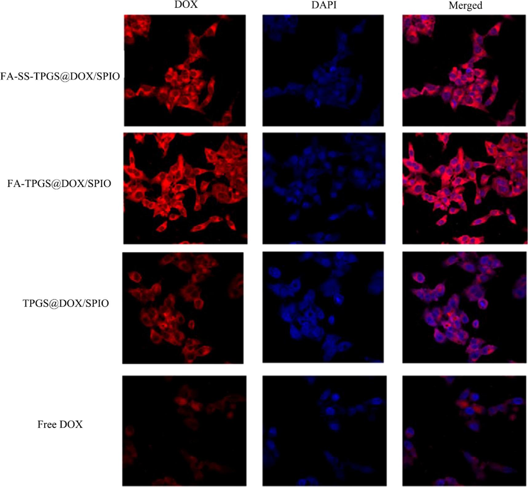 Folic acid-decorated vitamin E Poly(ethylene glycol) monoplatinum ester ...