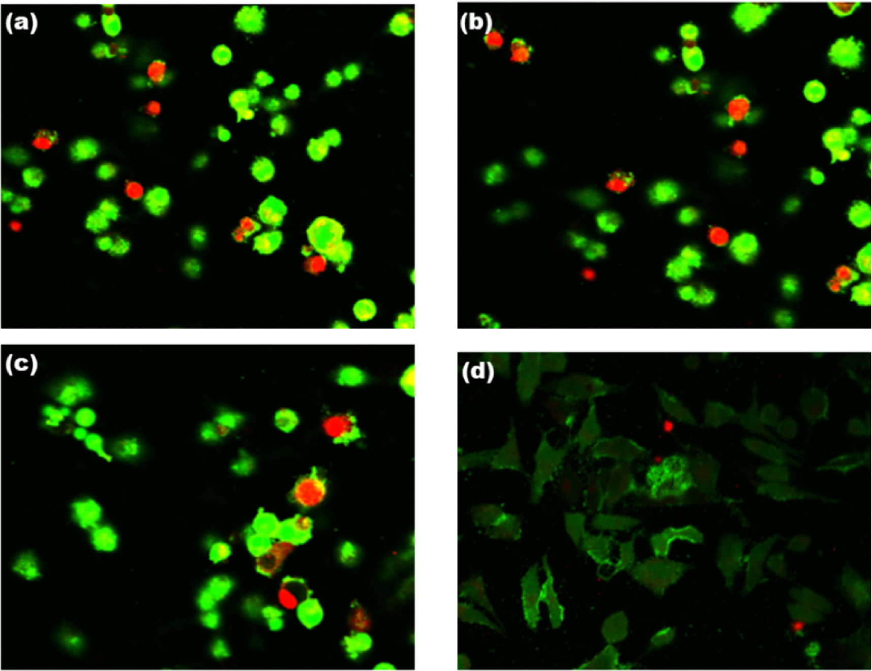 Folic acid-decorated vitamin E Poly(ethylene glycol) monoplatinum ester ...
