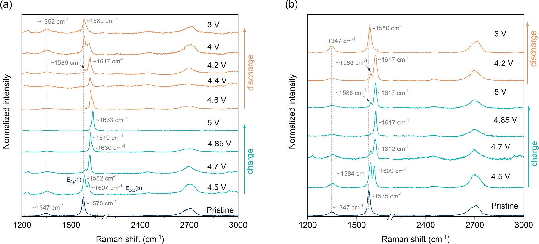 Monitoring self-discharge in a dual-ion battery using in situ Raman ...
