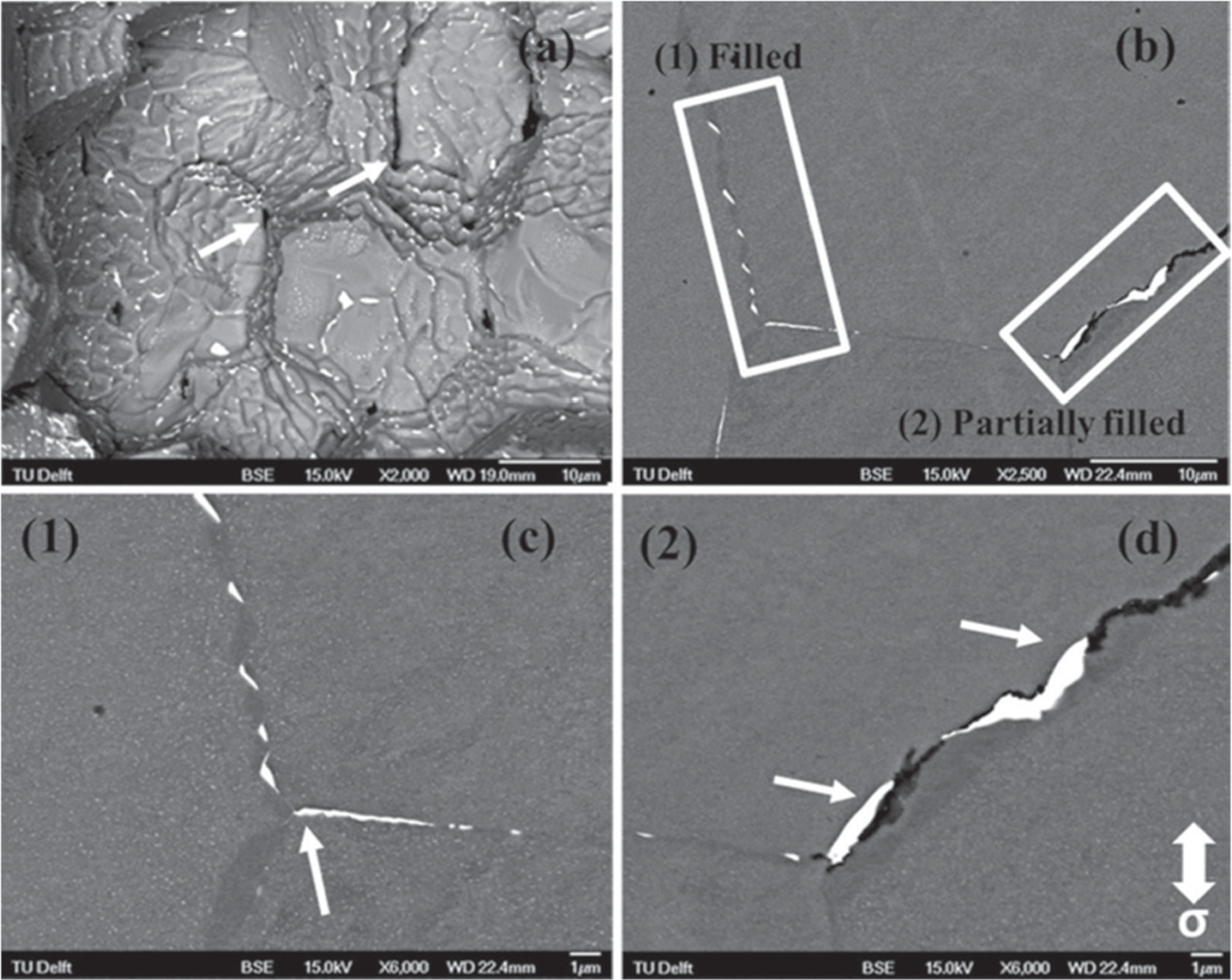 Laves phase formation in Fe-based alloys from strengthening particle to ...