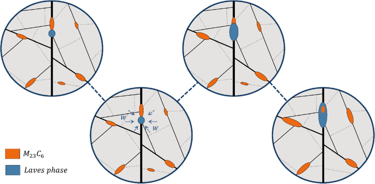 Laves phase formation in Fe-based alloys from strengthening particle to ...