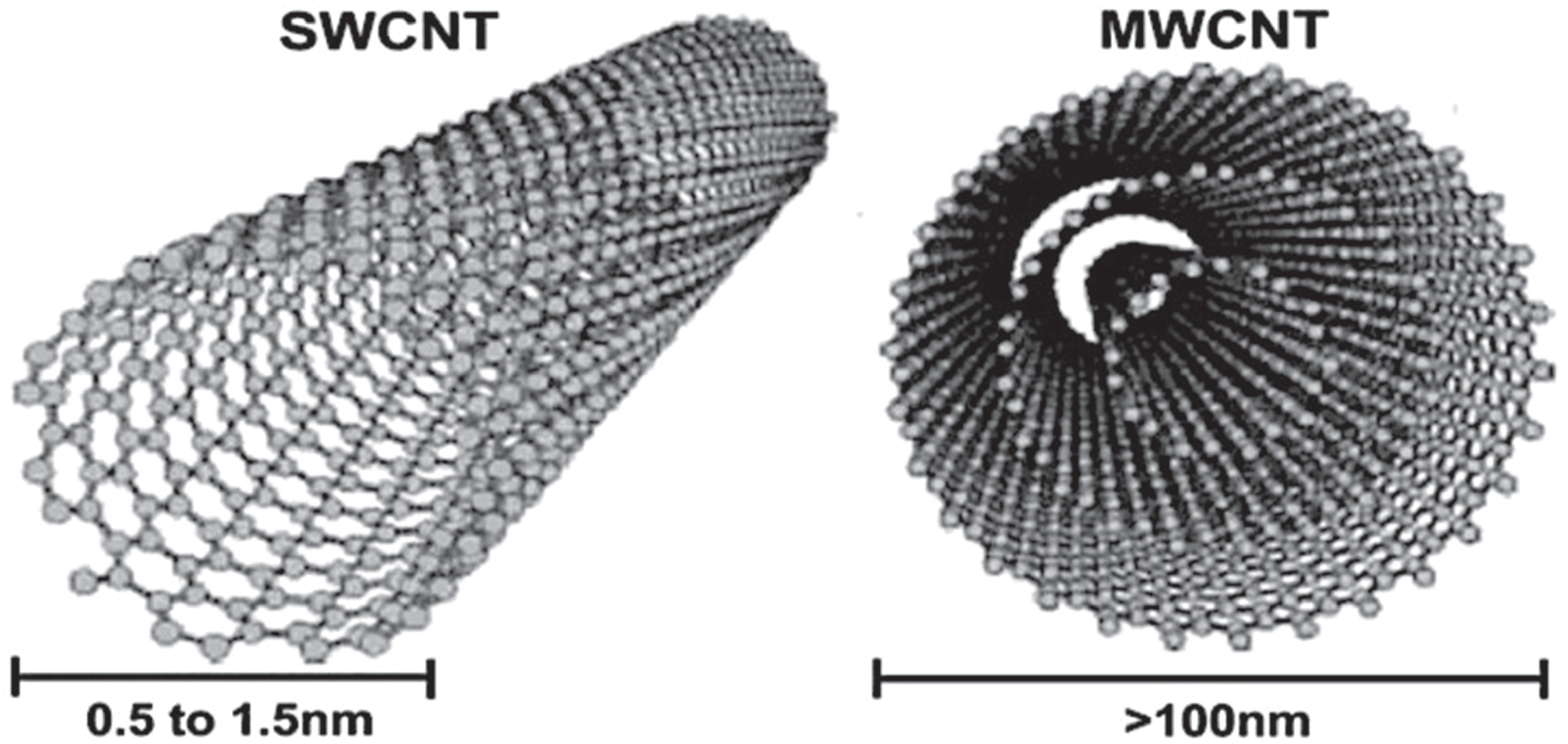 A comprehensive review of the application of modified carbon nanotubes ...
