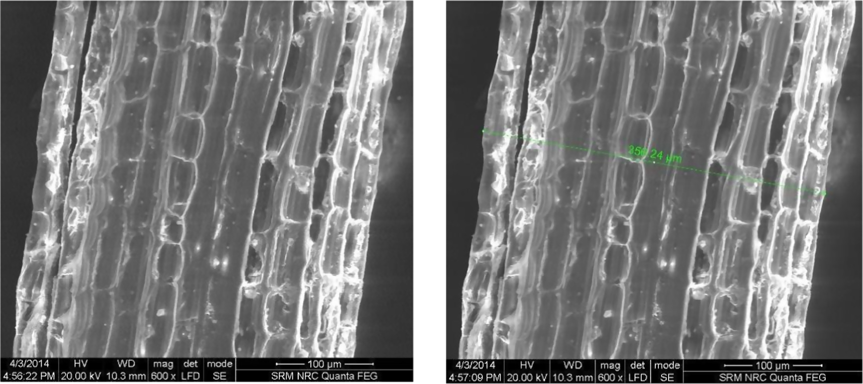 Performance assessment of surface modified natural fibre using NaOH in ...