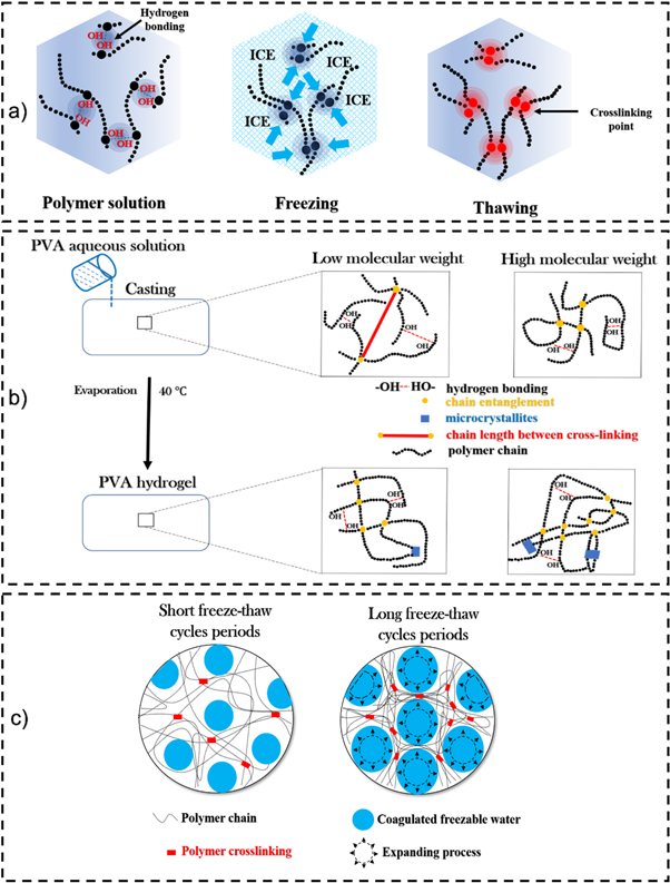 Freeze–thaw hydrogel fabrication method: basic principles, synthesis ...