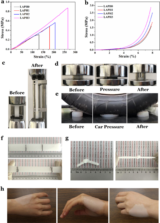 Freeze–thaw hydrogel fabrication method: basic principles, synthesis ...