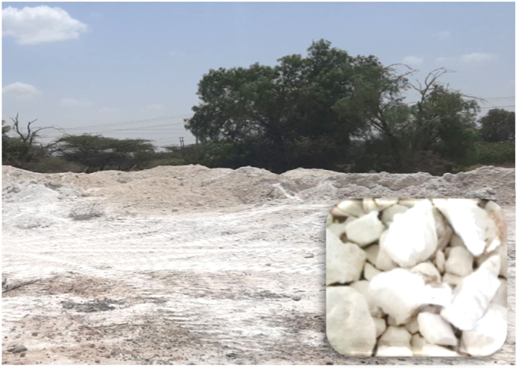 Utilization of silica-enriched filter cake industry by-products as ...