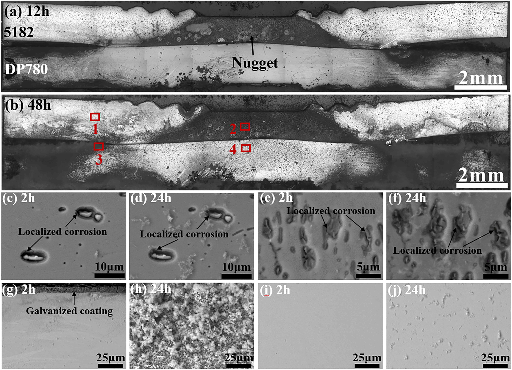 Effect of intermetallic compound on the corrosion behaviour of ...