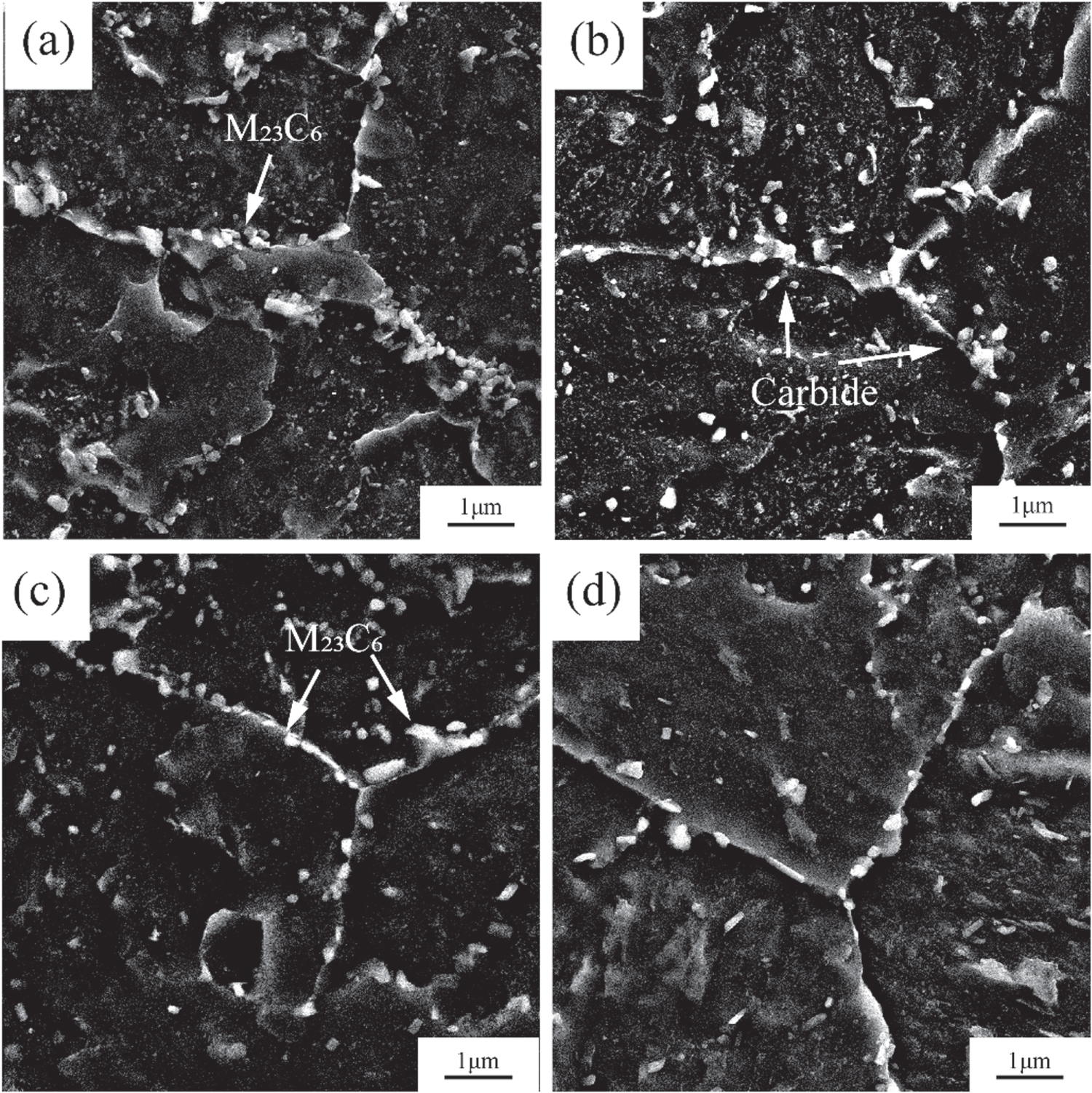 Effects of normalizing temperature on microstructure and high ...