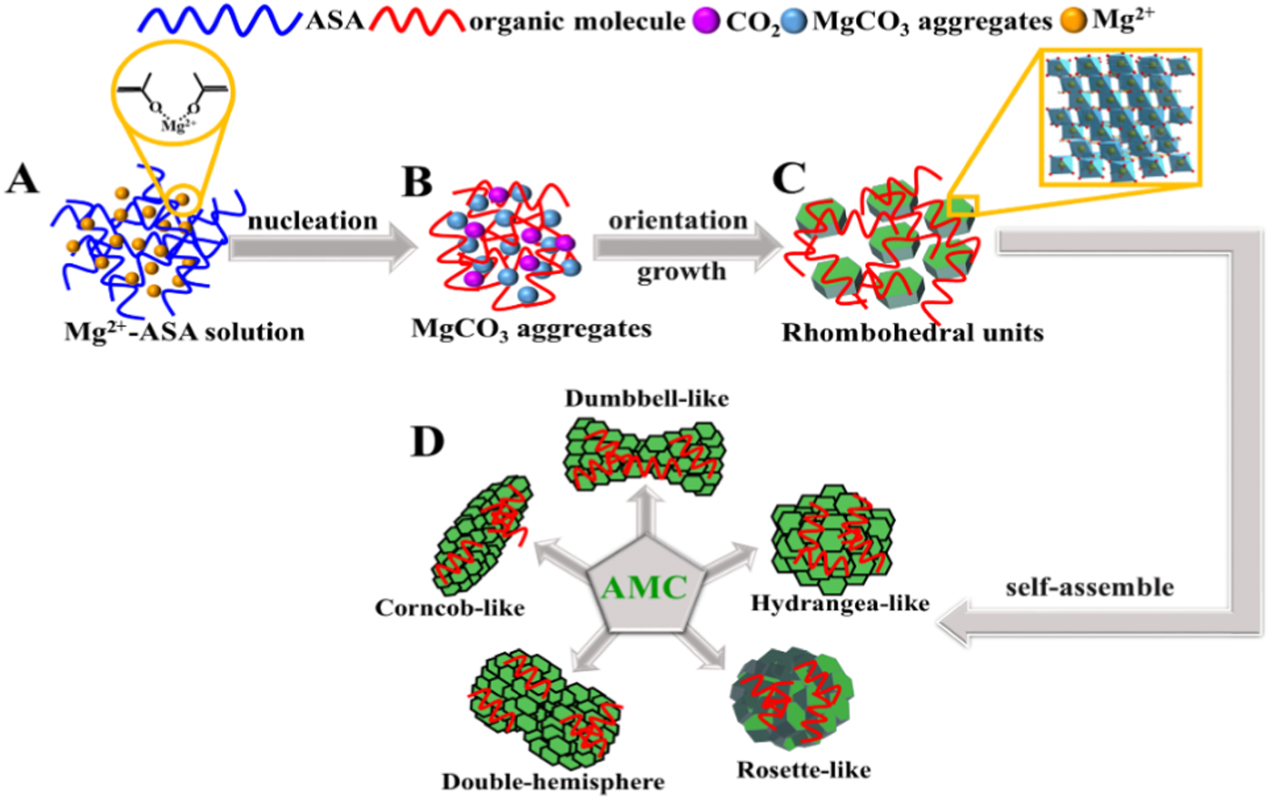 Anhydrous MgCO3: Controllable synthesis of various morphology based on ...