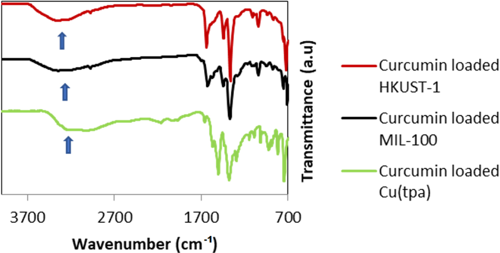 Impact of active sites on encapsulation of curcumin in Metal Organic ...