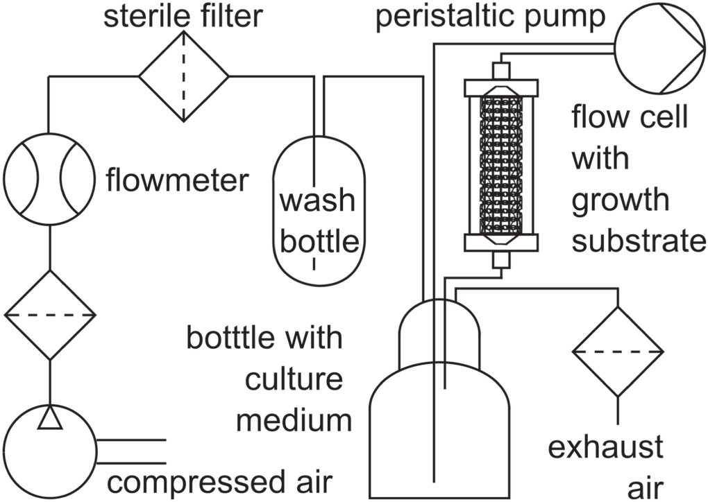 Threedimensionally patterned, hierarchically and anisotropically ...