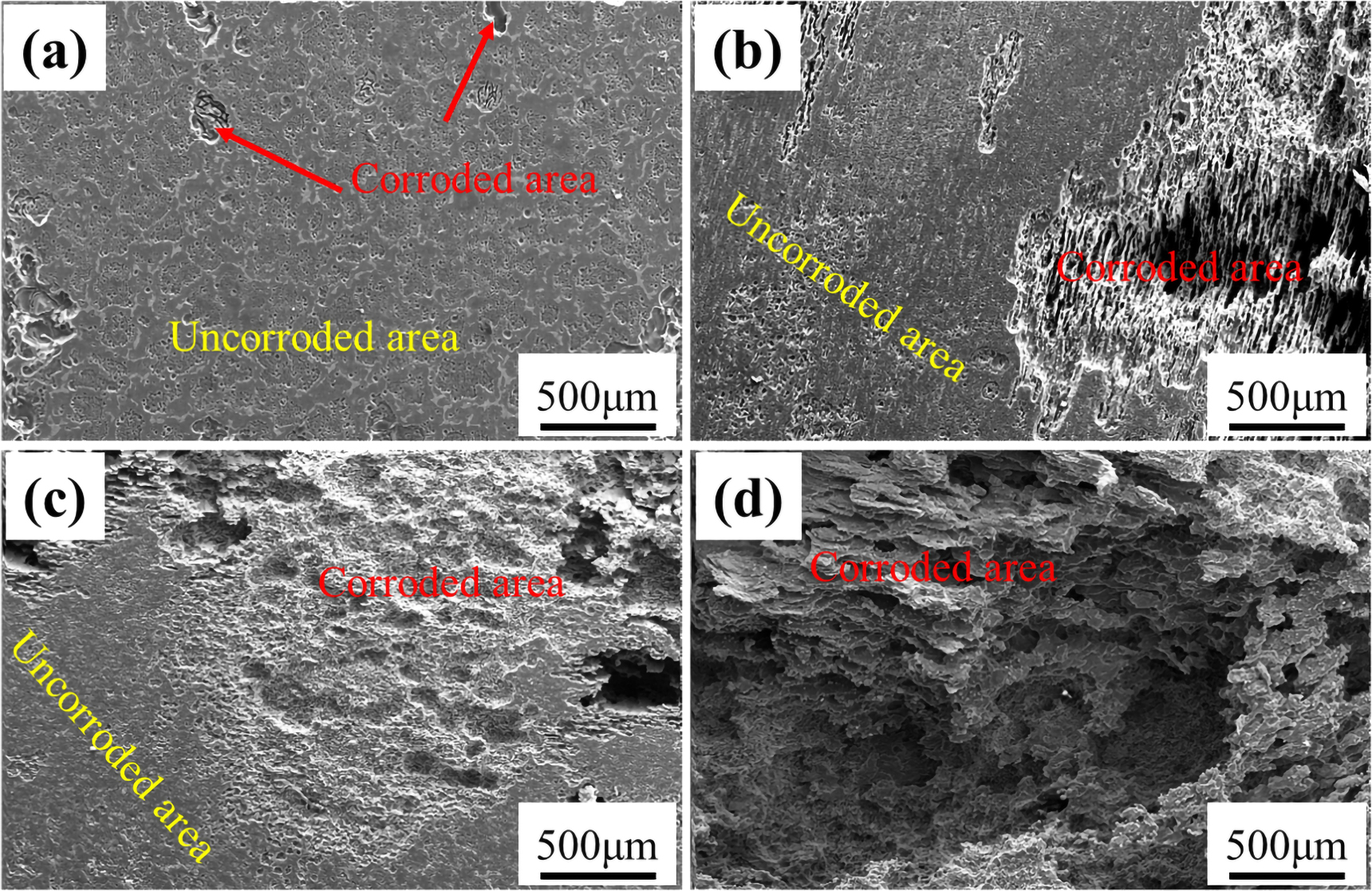 Preparing high-strength and osteogenesis-induced Mg-Gd alloy with ultra ...
