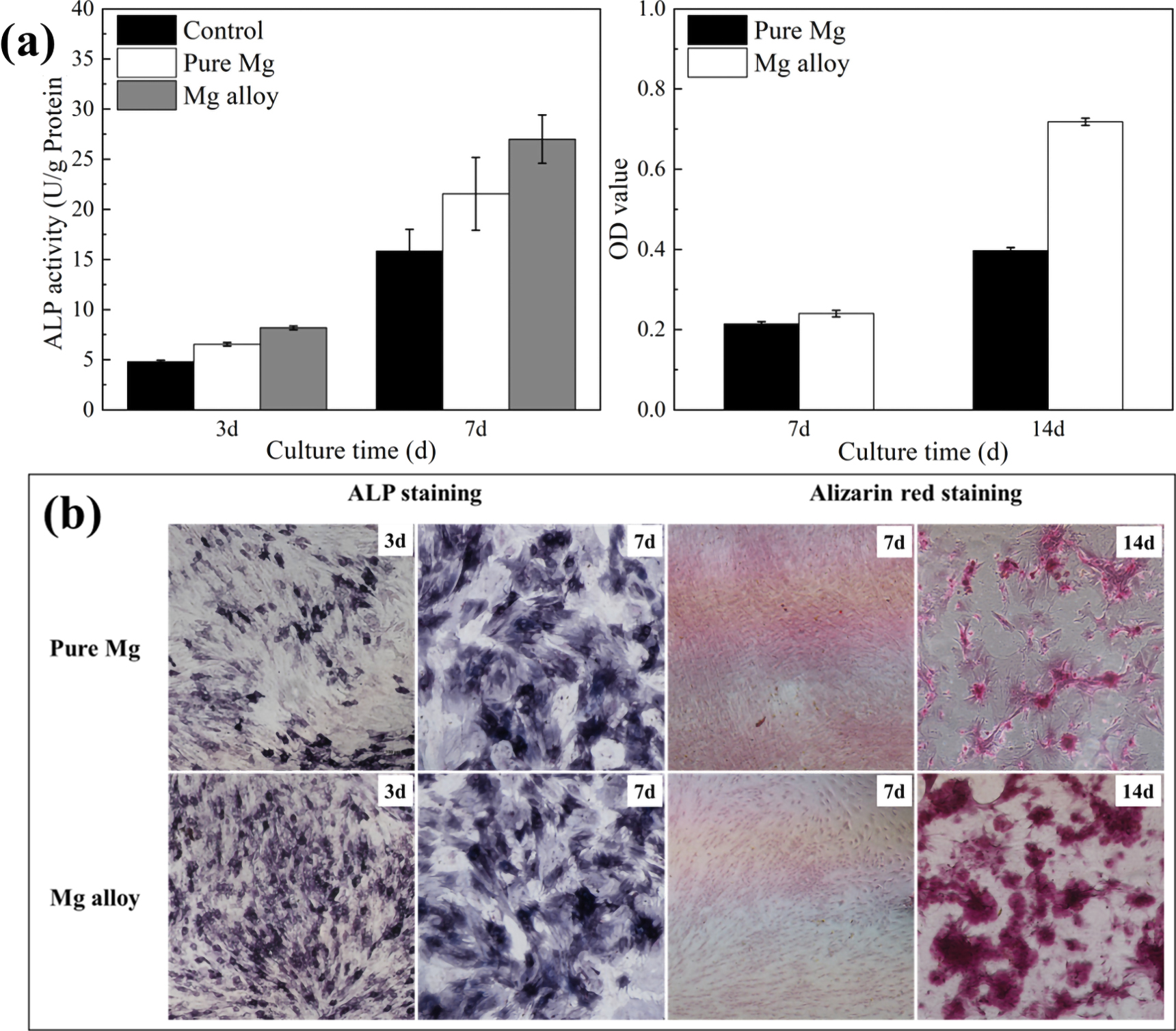 Preparing high-strength and osteogenesis-induced Mg-Gd alloy with ultra ...