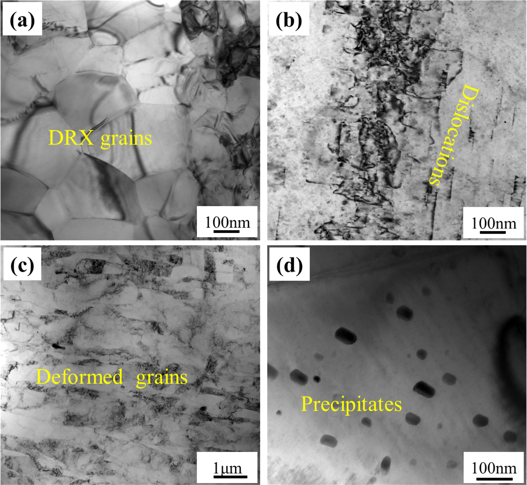 Preparing high-strength and osteogenesis-induced Mg-Gd alloy with ultra ...