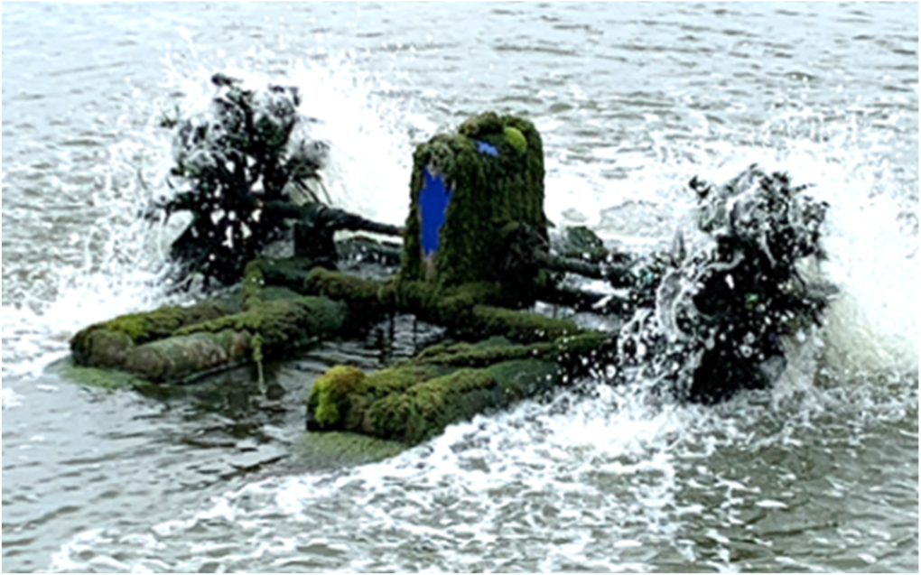The development of a high-efficiency aquaculture water pump using self ...