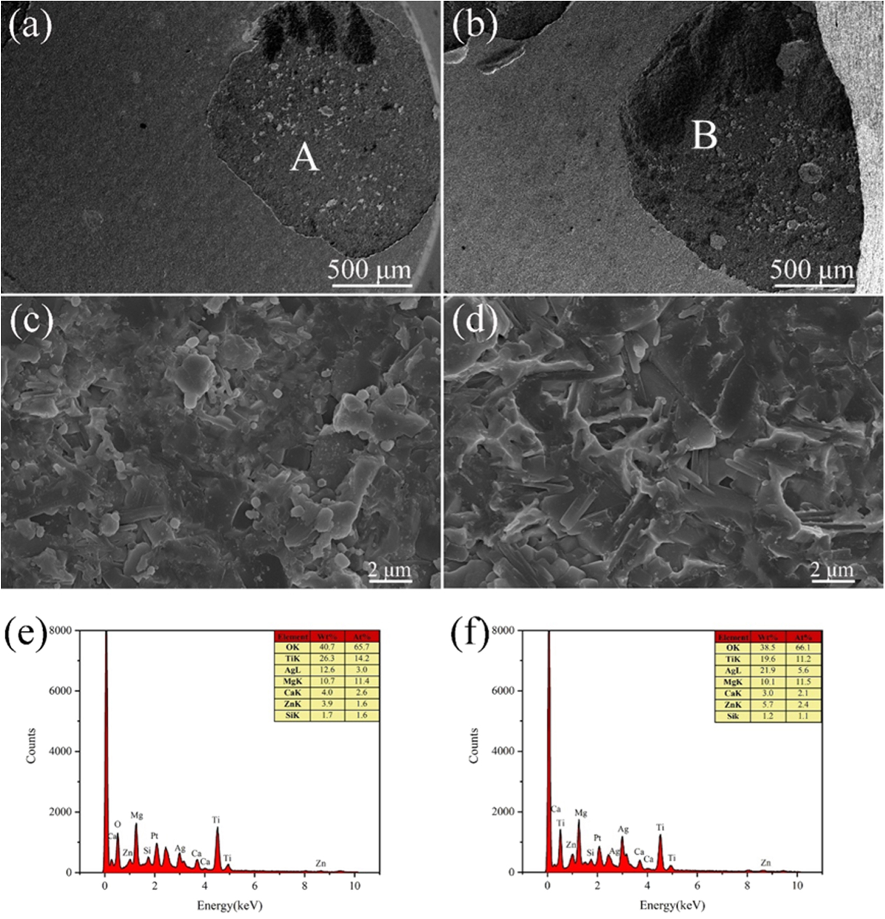 The silver paste containing ZnO-B2O3-SiO2 glass sintered at high ...