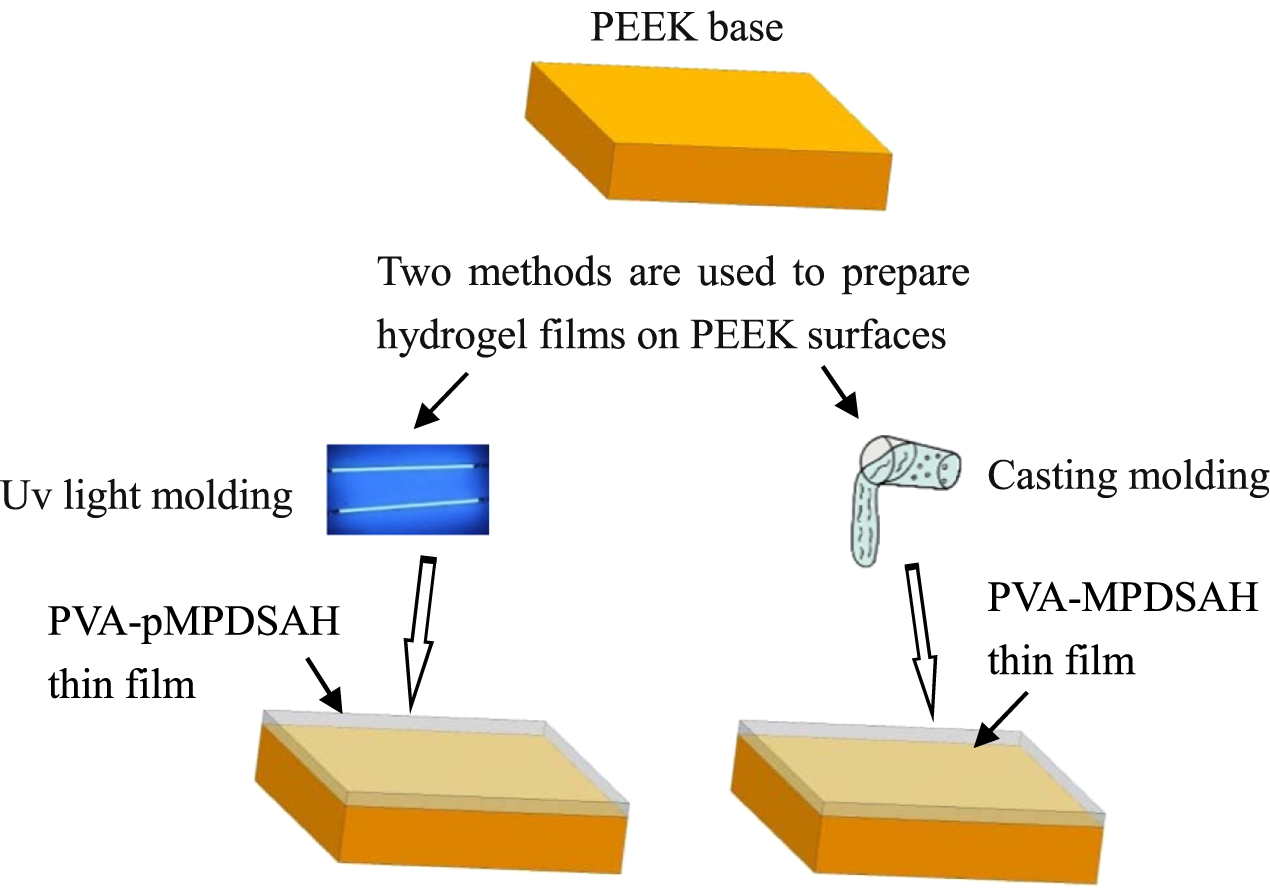 Organization structure and tribological study of hydrogel prepared by ...