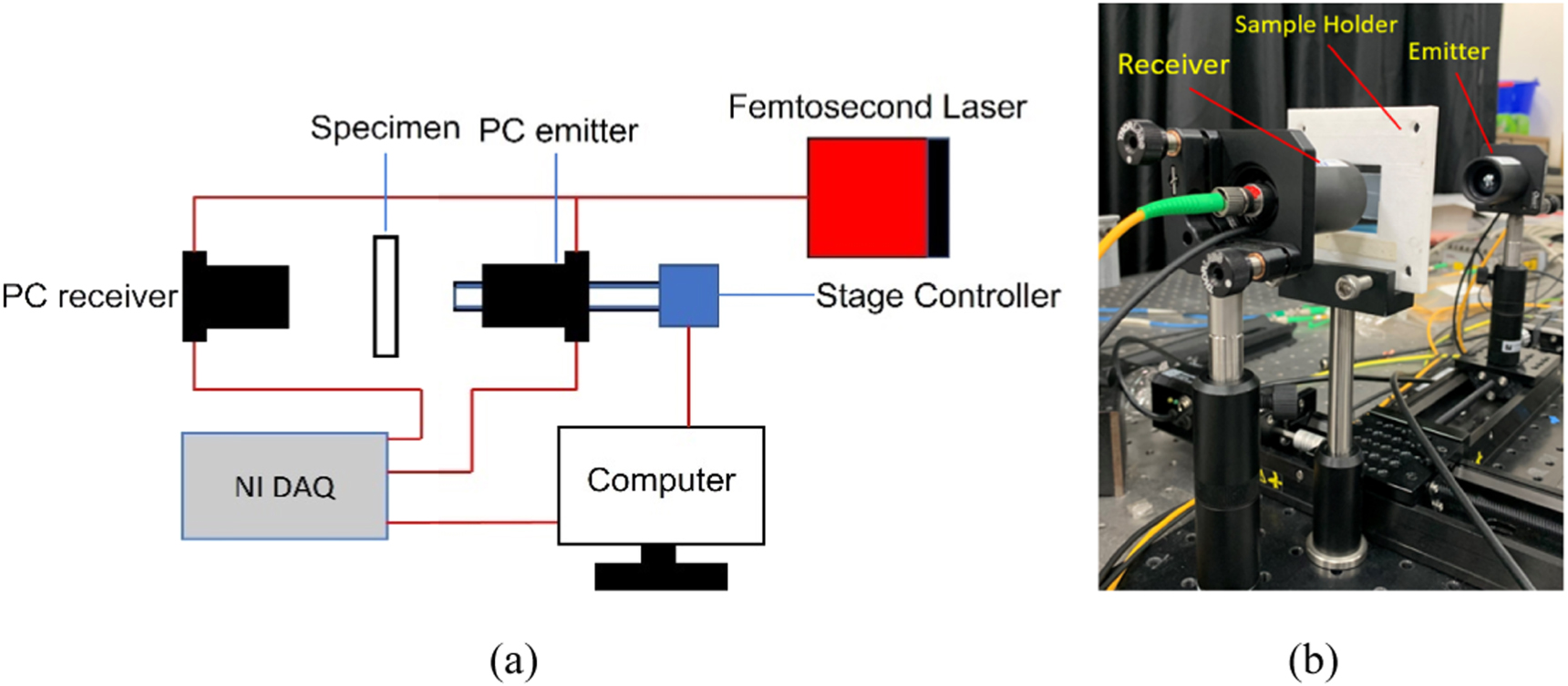 Optical properties of PVDF-TrFE and PVDF-TrFE-CTFE films in terahertz ...