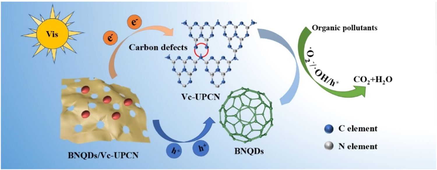 Boron nitride quantum dots modified carbon-defects ultra-thin porous ...