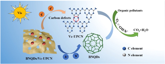 Boron nitride quantum dots modified carbon-defects ultra-thin porous ...