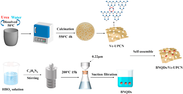 Boron nitride quantum dots modified carbon-defects ultra-thin porous ...
