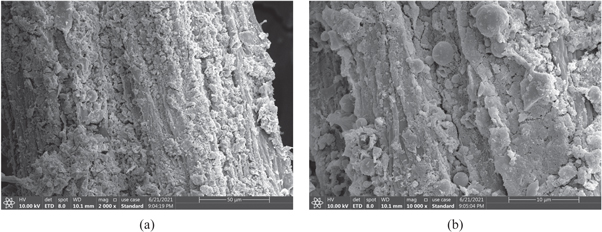 Experimental study on self-healing and mechanical properties of sisal ...