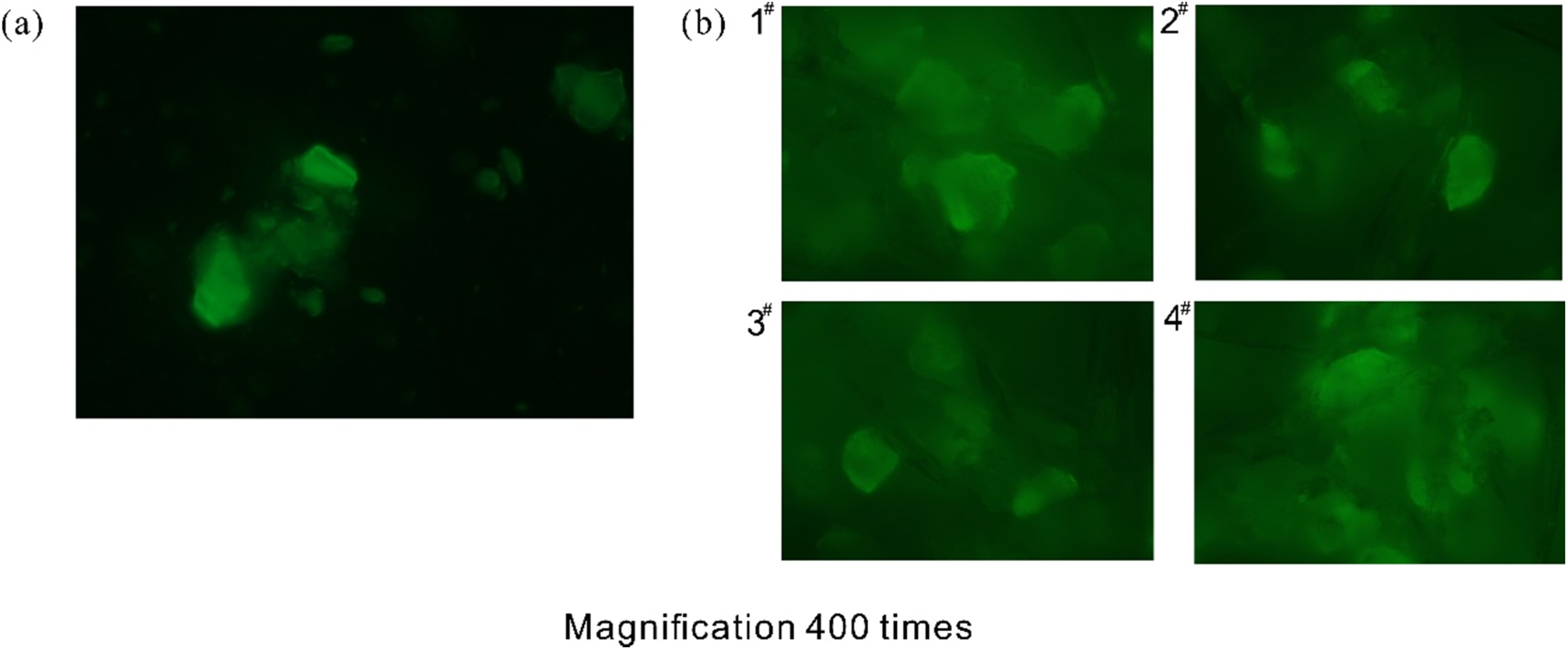 Study on the preparation and color-changing properties of smart fabric ...