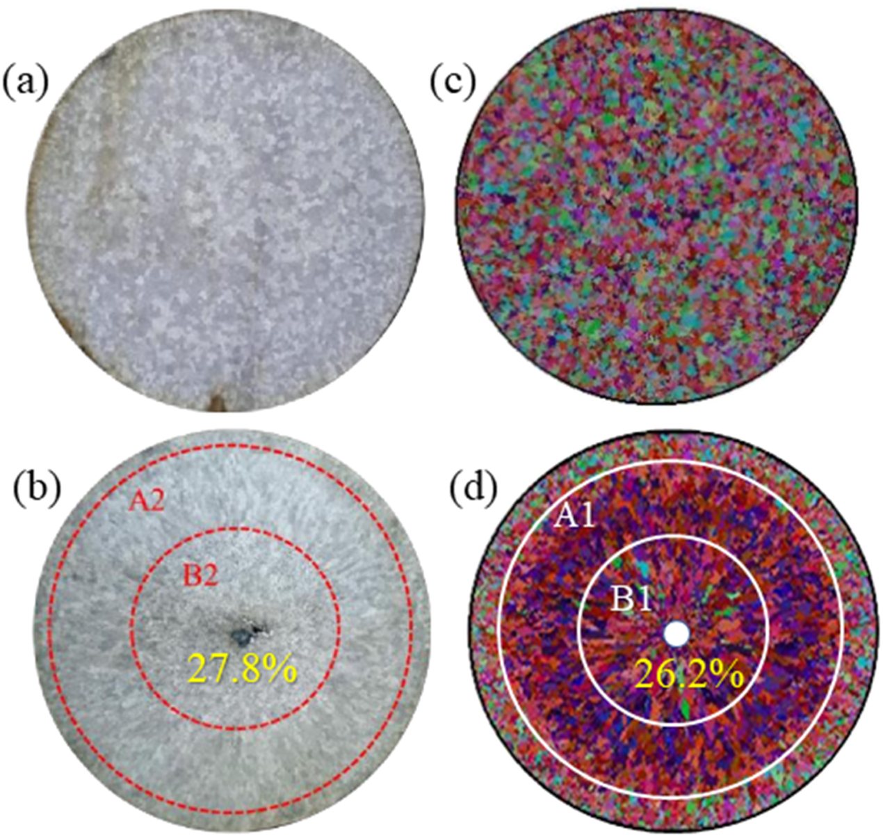 Numerical simulation of cellular automaton in vacuum arc remelting ...