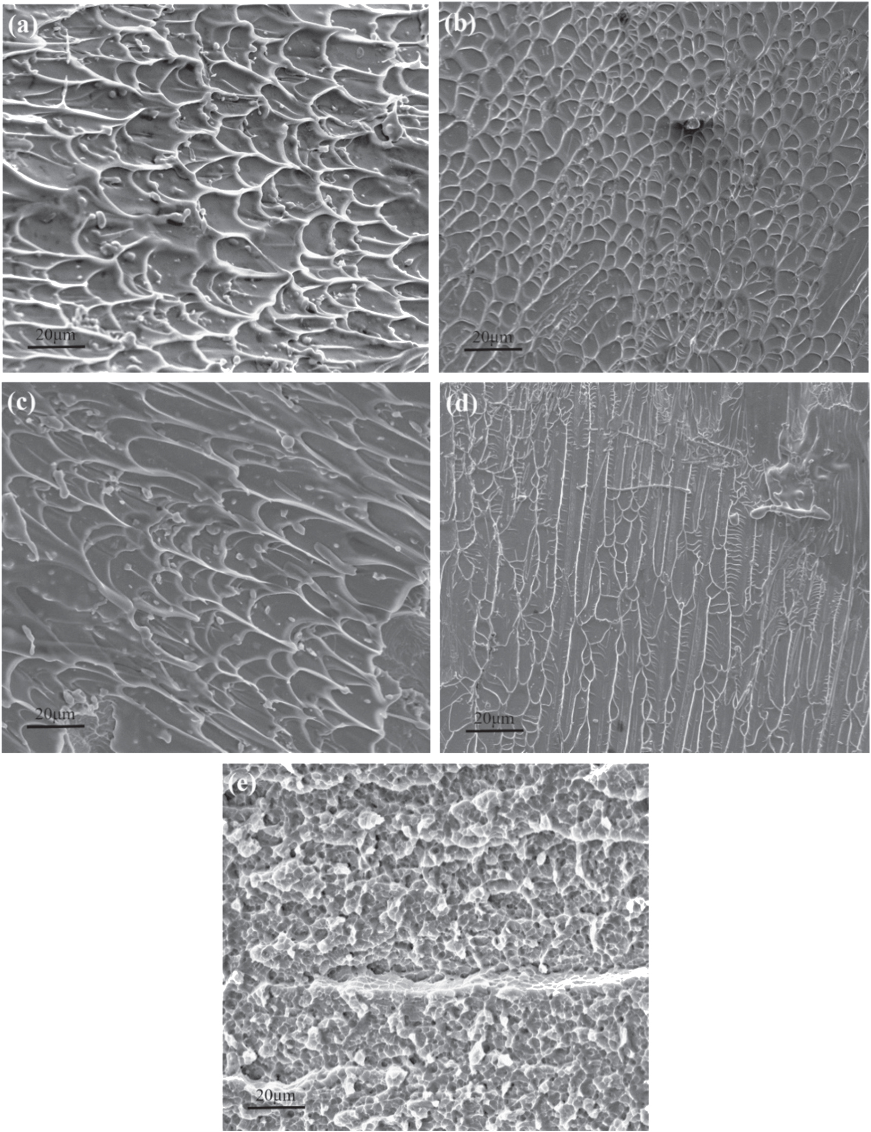 Effect of isothermal annealing temperature on microstructure and mechanical properties of ...