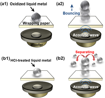 Acoustic wave-driven oxide dependant dynamic behavior of liquid metal ...