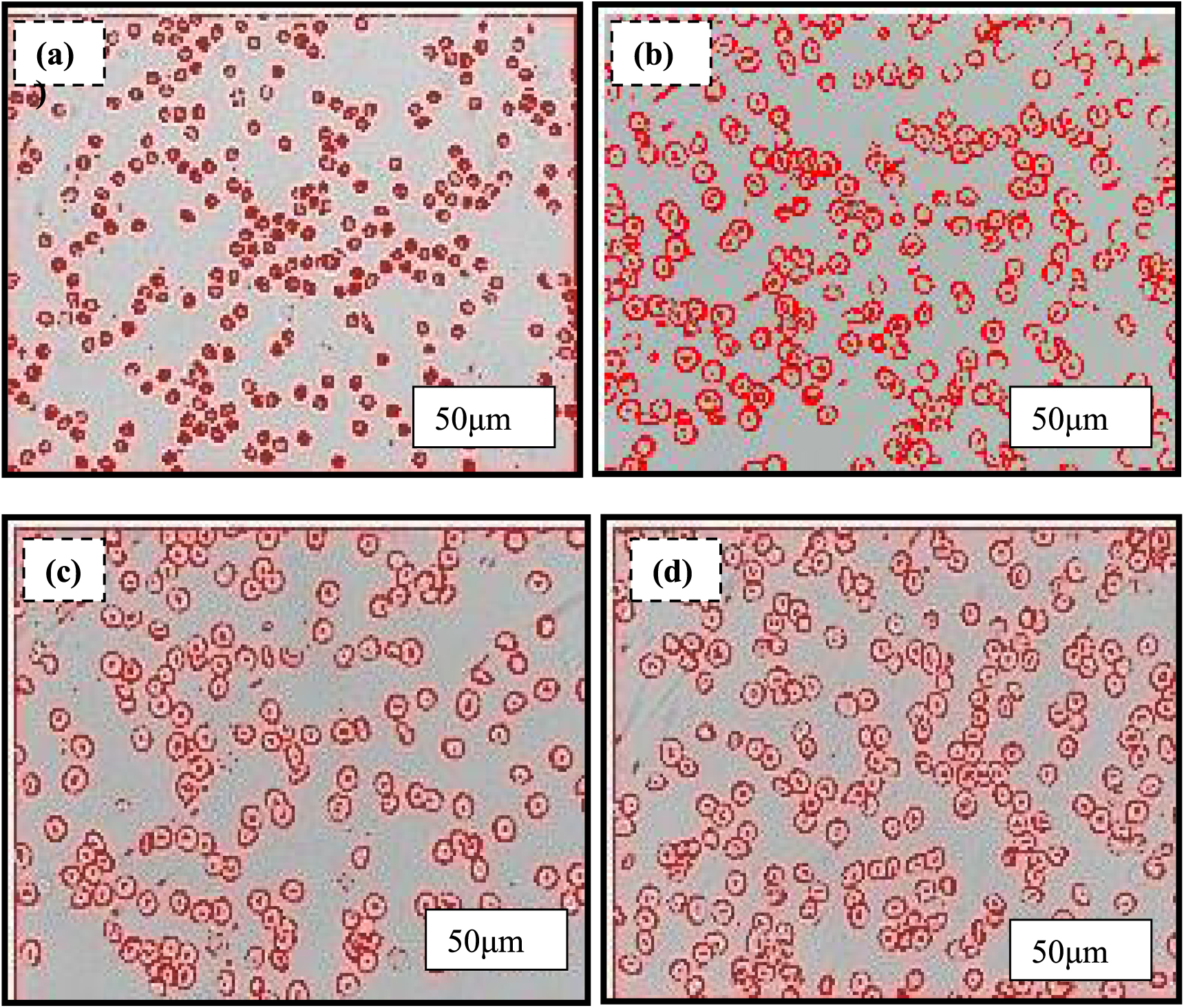 Comparative study of the biocompatibility and corrosion behaviour of ...
