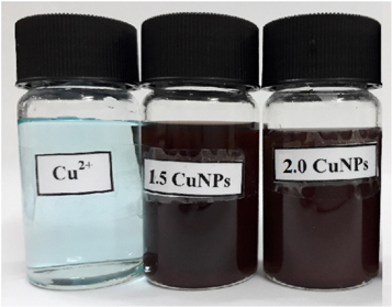 Synthesis and antifungal activity of copper nanoparticles against ...