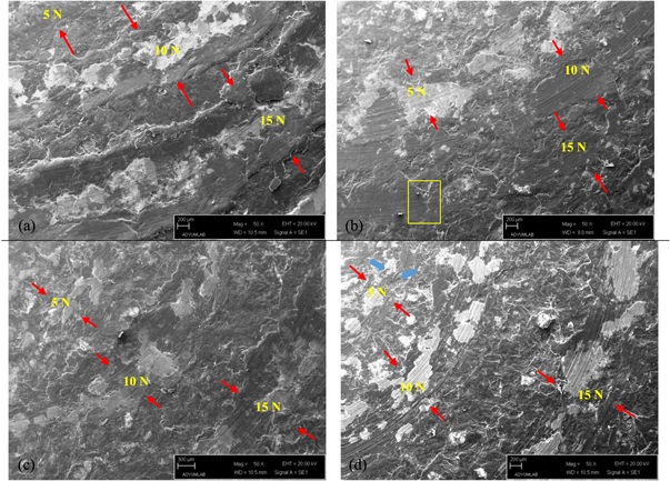 Microstructural evaluation and wear behavior of B4C particle reinforced ...