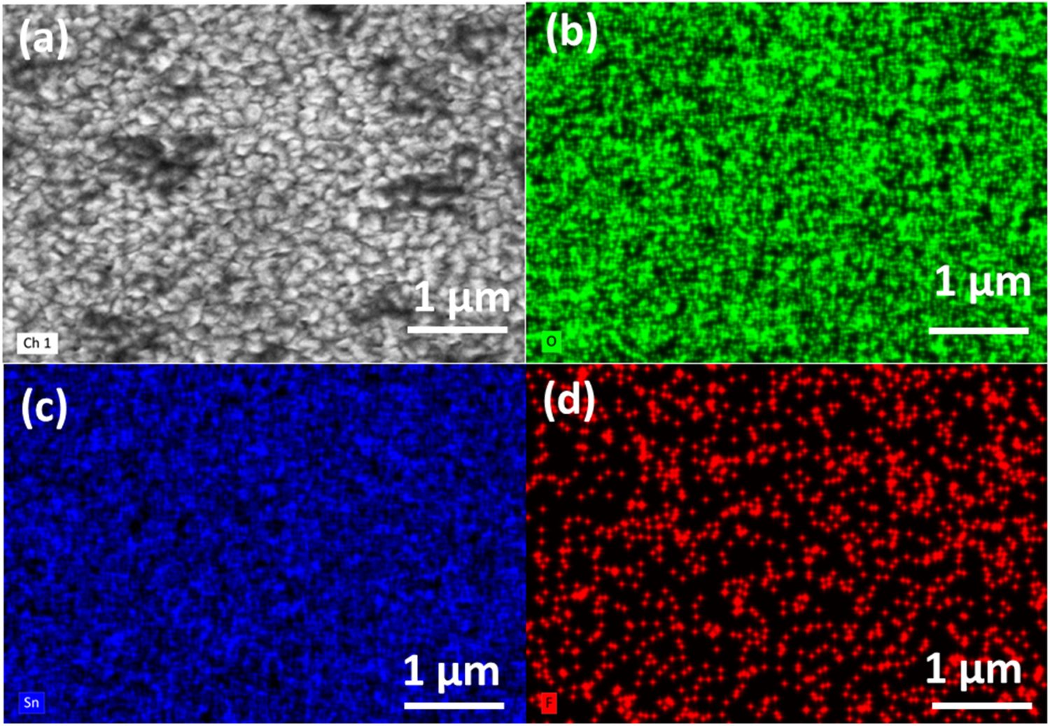 Study of fluorine-doped tin oxide thin films deposited by pneumatic ...