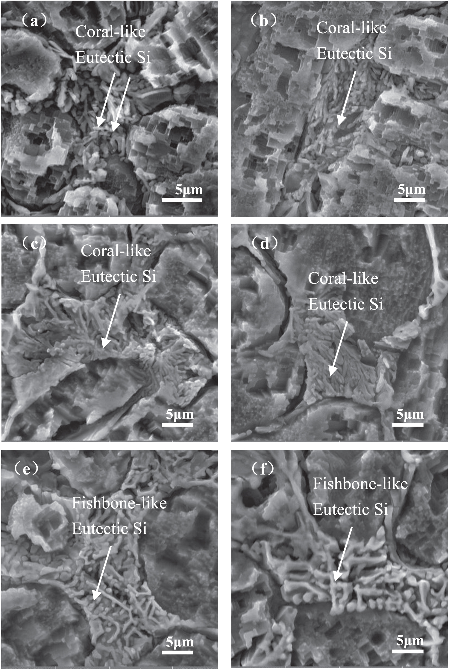 Effect of Zr content on microstructure and tensile properties of cast and T6 heat-treated A356-0 ...