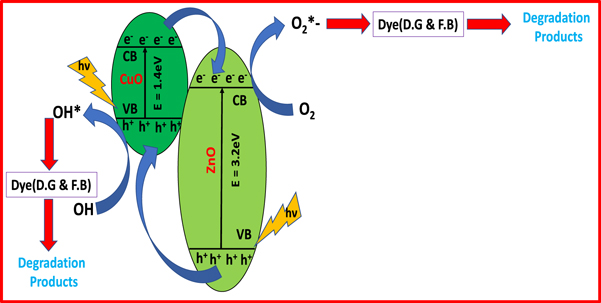 Structural, electrochemical sensor and photocatalytic activity of ...