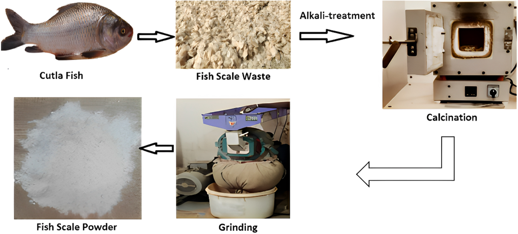 Mechanical and thermal characterization of additive manufactured fish ...