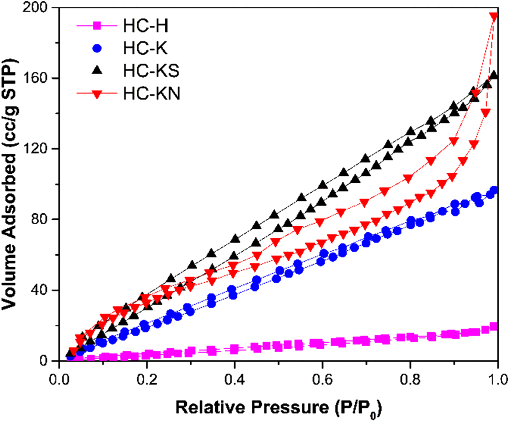 Electrocapacitive and electrocatalytic performances of hydrochar ...