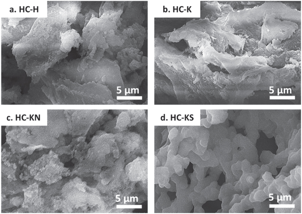 Electrocapacitive and electrocatalytic performances of hydrochar ...