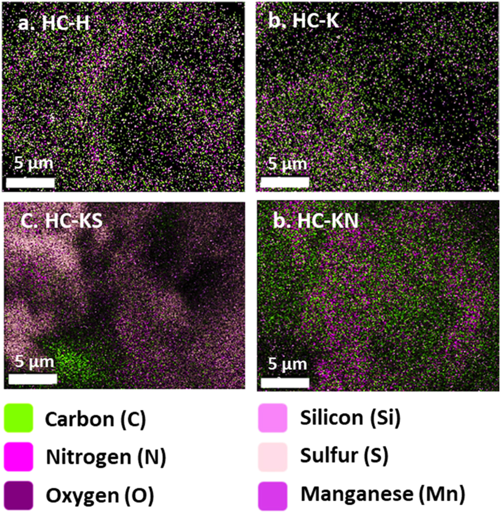 Electrocapacitive and electrocatalytic performances of hydrochar ...