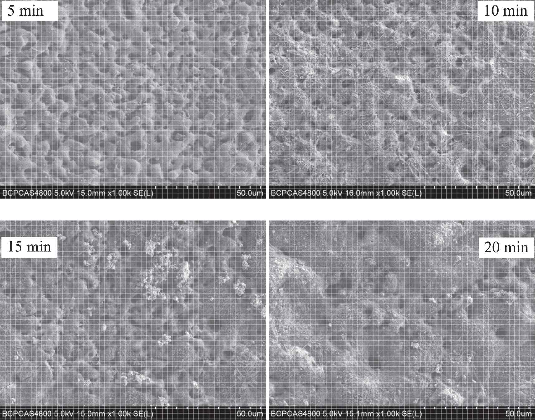 Study on characterization technology of porosity and fractal dimension ...