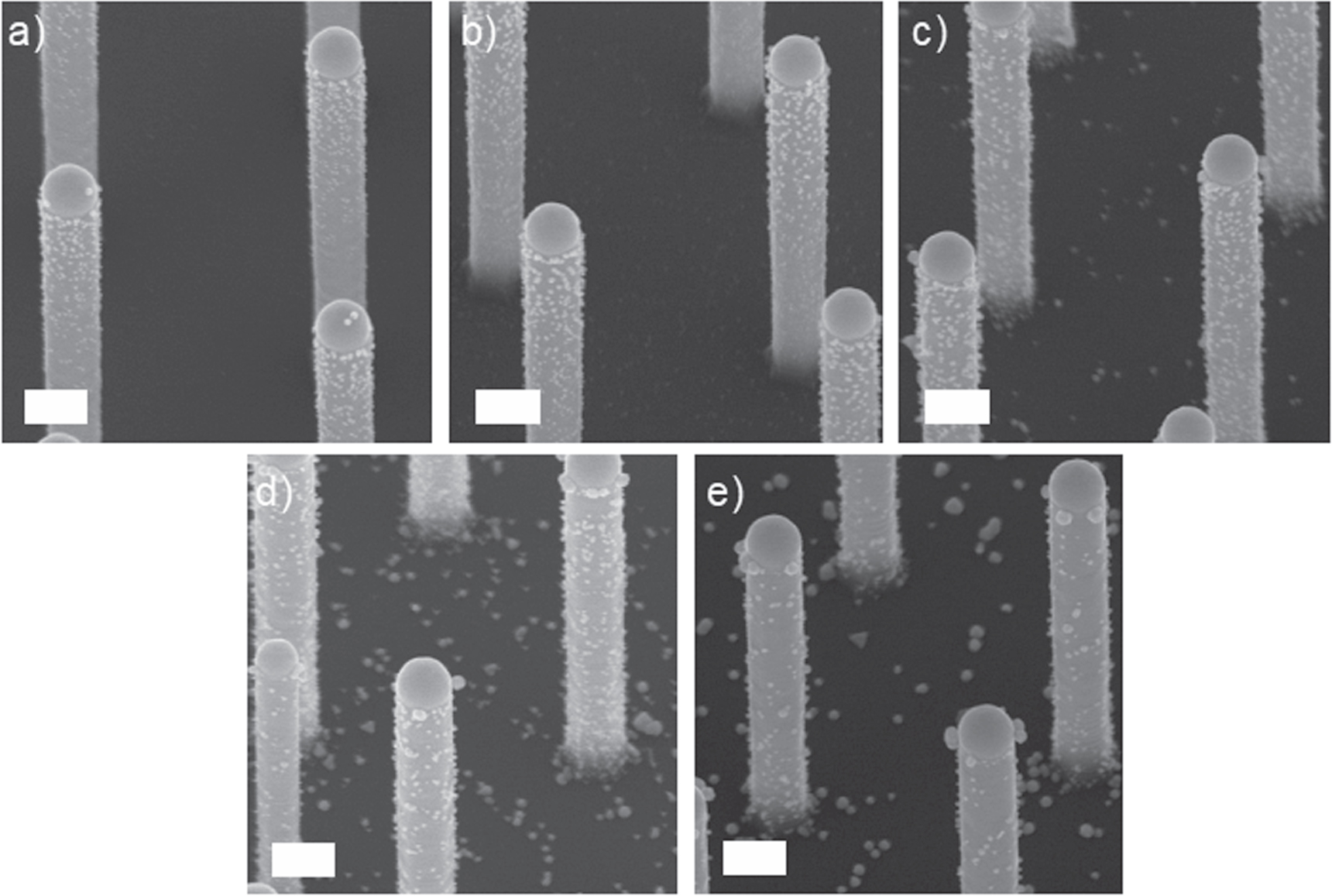 Growth of branched nanowires via solution-based Au seed particle ...