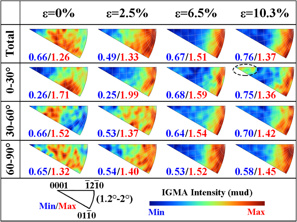 In-situ SEM and EBSD investigation of the deformation behavior of ...