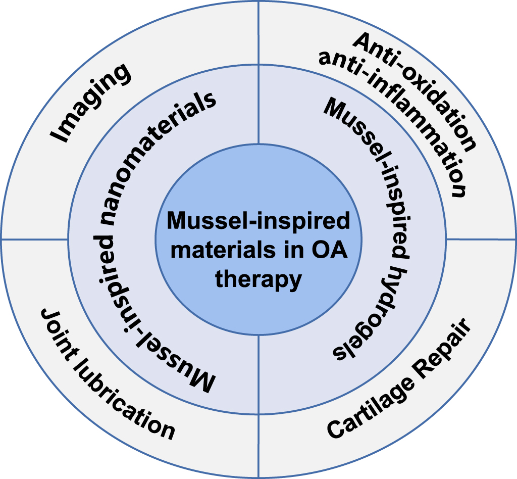 Recent advances of mussel-inspired materials in osteoarthritis therapy ...