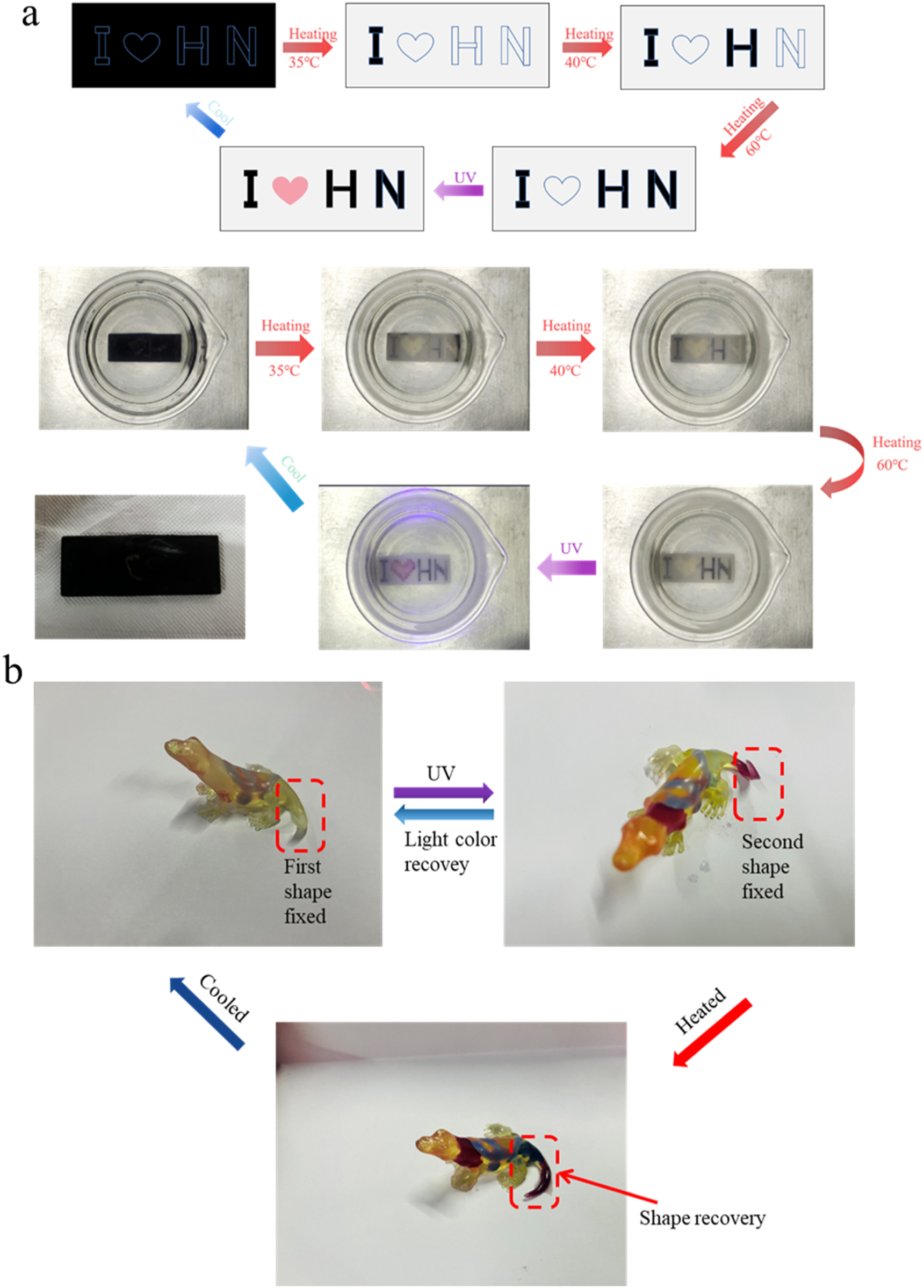 3D printing of photochromic and thermochromic shape memory polymers for ...