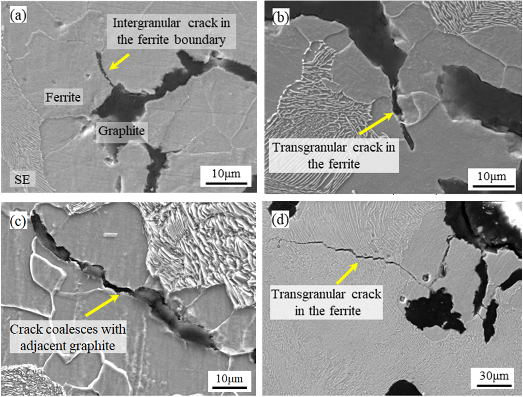 The damage mechanism of tension-tension fatigue interaction with creep ...
