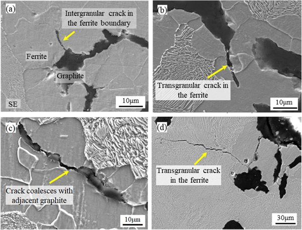 The damage mechanism of tension-tension fatigue interaction with creep ...
