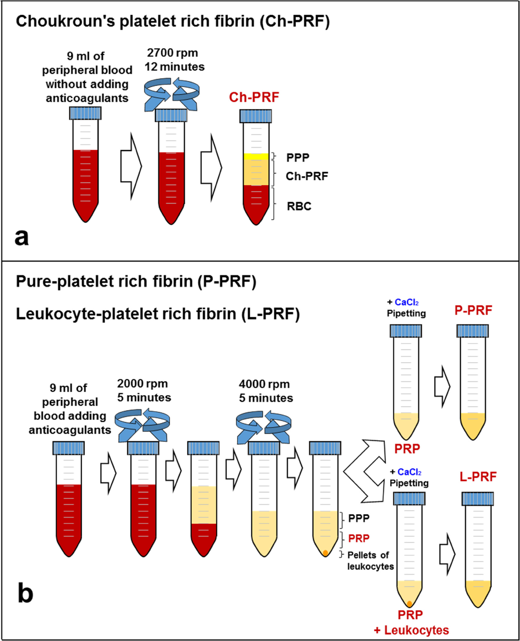 Nanostructure characteristics of three types of platelet-rich fibrin biomaterial: a histological ...