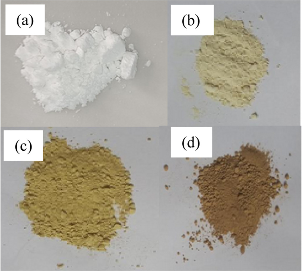 Structural and magnetic properties of Fe and Ni co-doped SnO2 ...